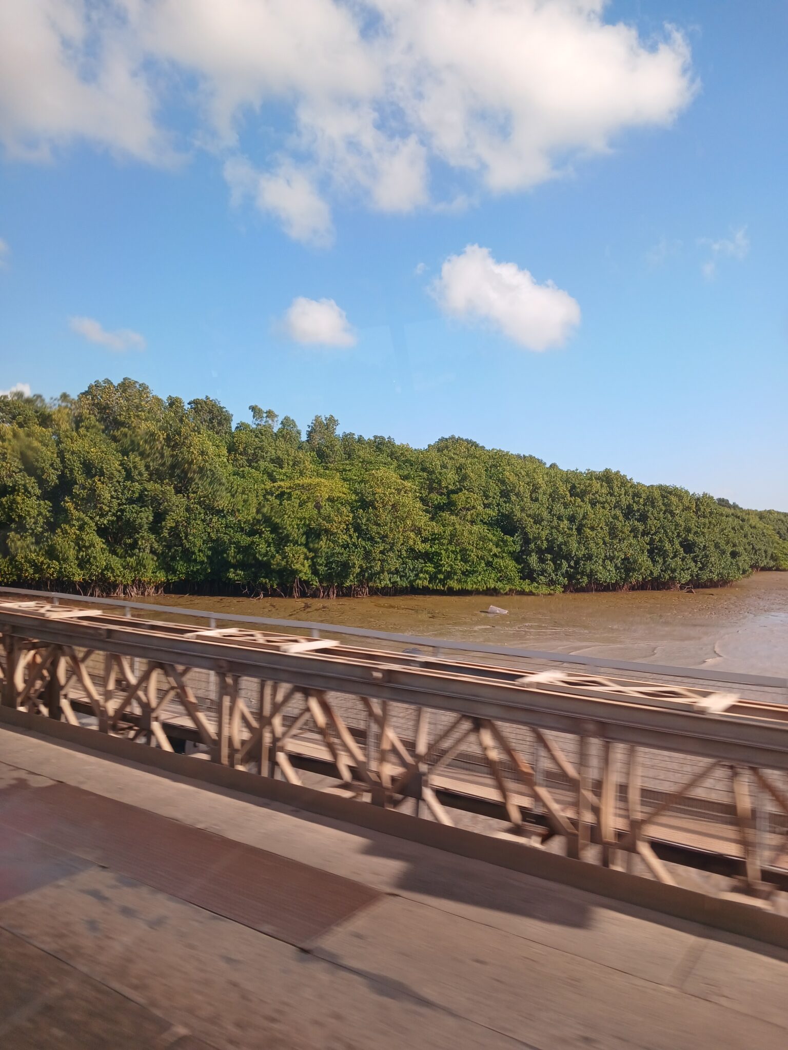 Exploring The Beauty of the Essequibo Region in Guyana – My Jamaican ...